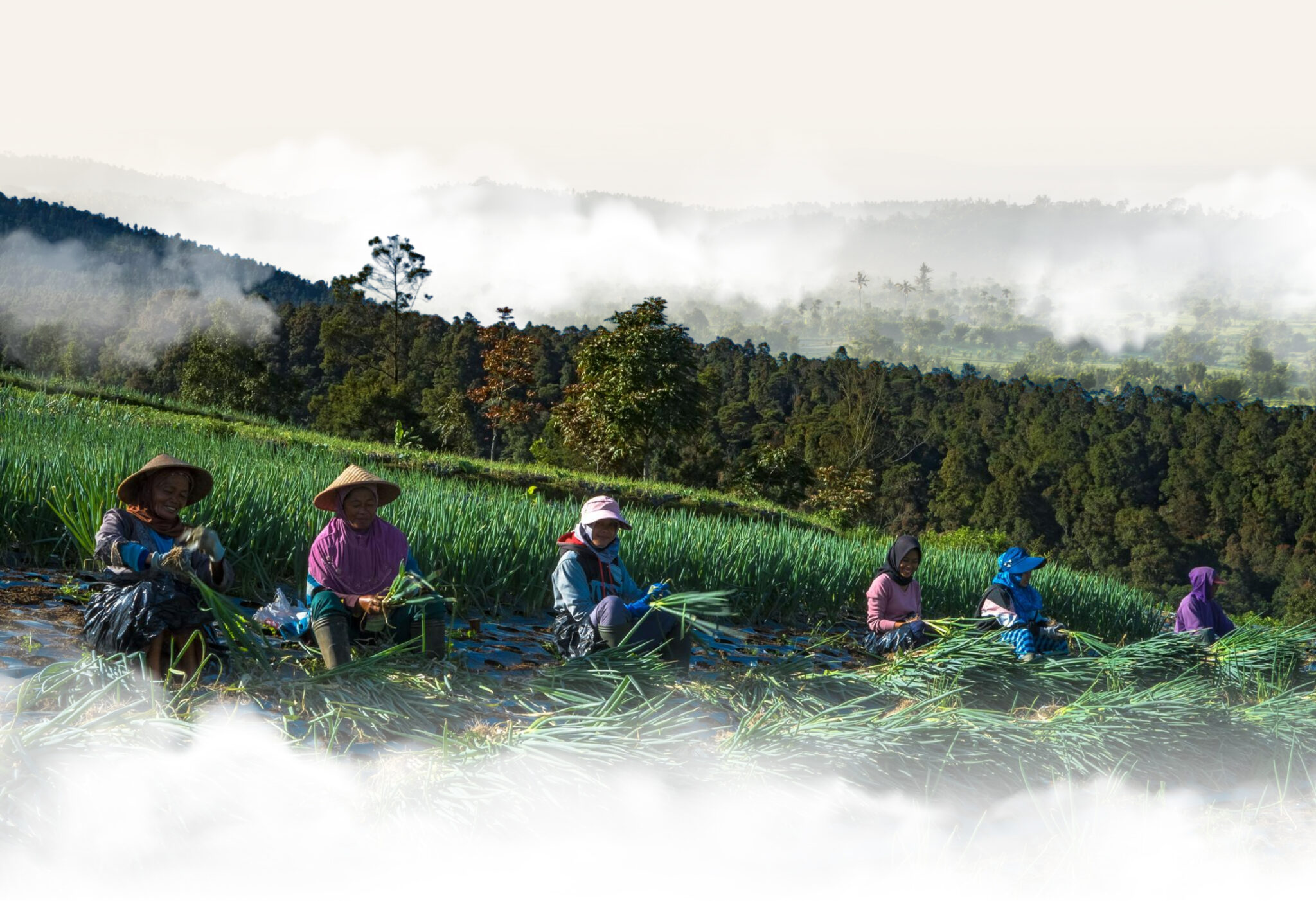 Yayasan Arsari Djojohadikusumo - Nurturing Indonesia's Heart and Heritage