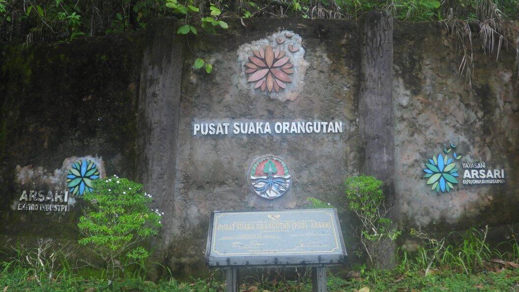 OIKN and ARSARI Foundation: Cooperation in Orangutan Conservation ...